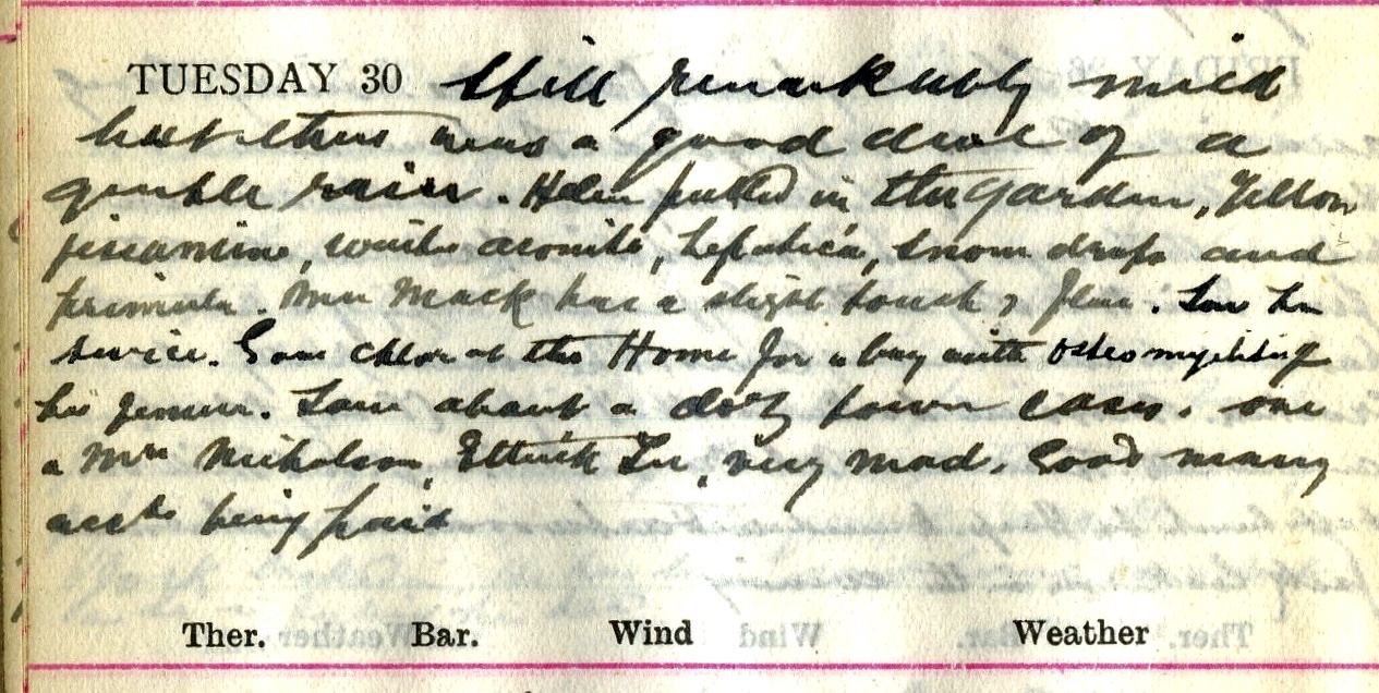 30 January 1923 diary of Dr John Stewart Muir (1845-1938) of Selkirk ...